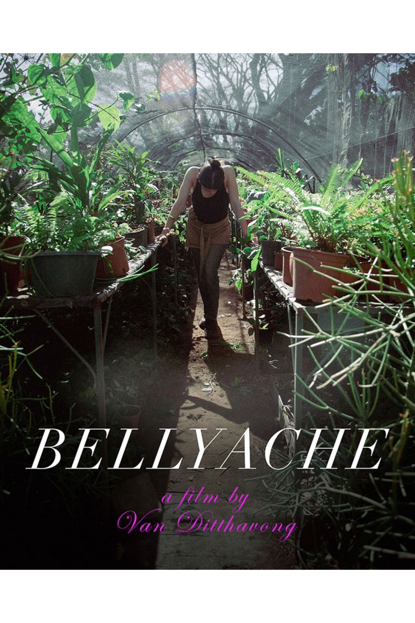 Bellyache Movie Streaming Online Watch