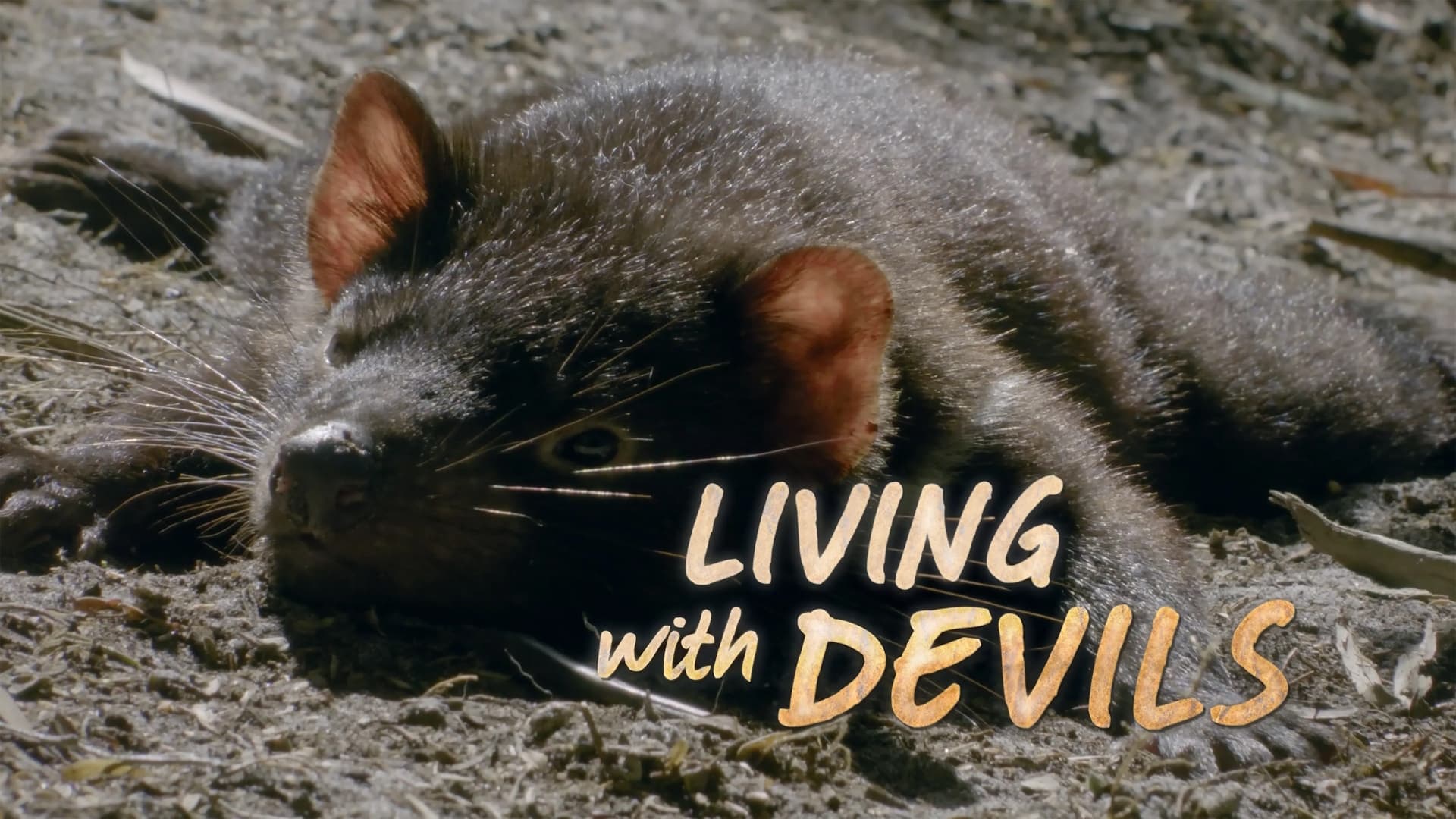 Living with Devils Movie Streaming Online Watch