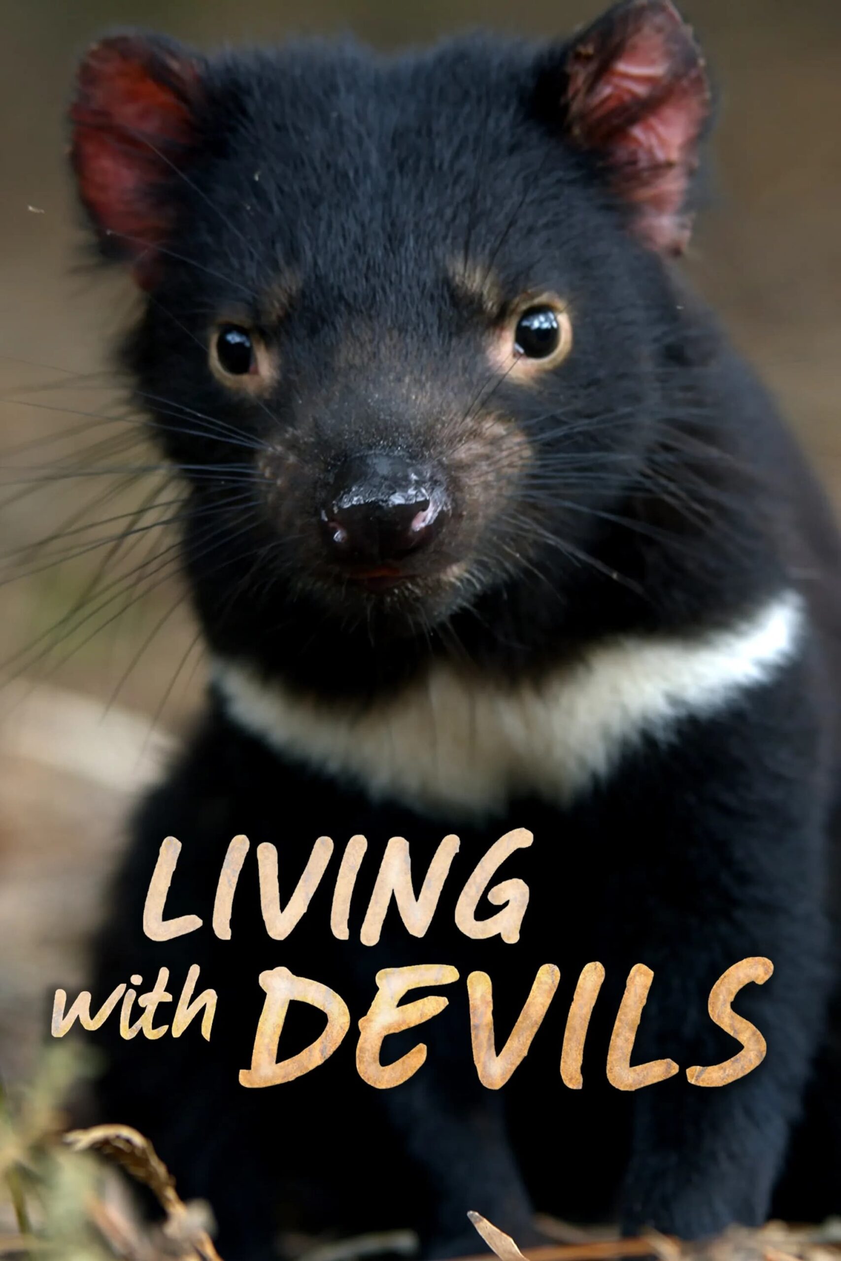 Living with Devils Movie Streaming Online Watch