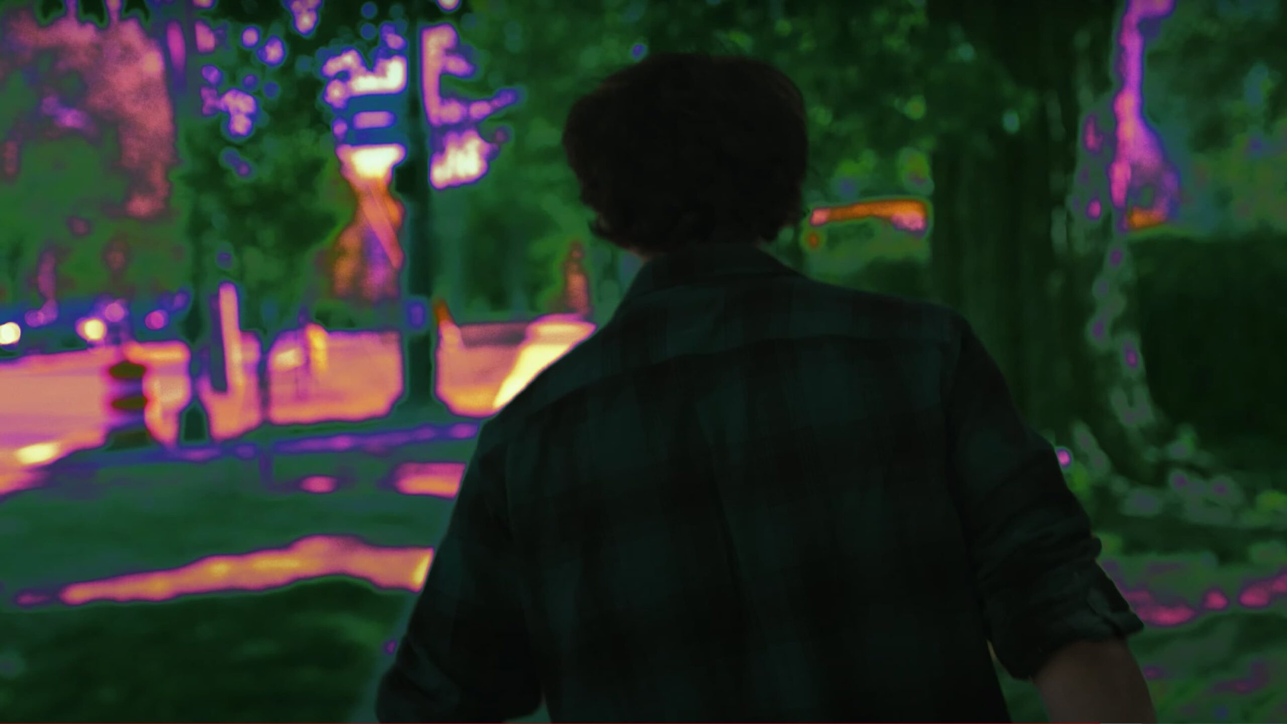 Please Don't Lick The Psychedelic Toad Movie Streaming Online Watch