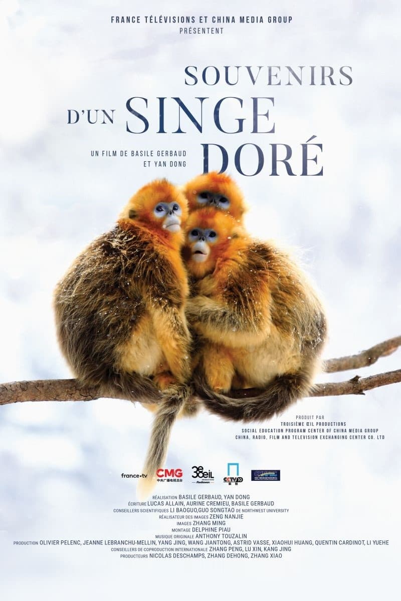 Souvenirs d'un singe doré French Movie Streaming Online Watch