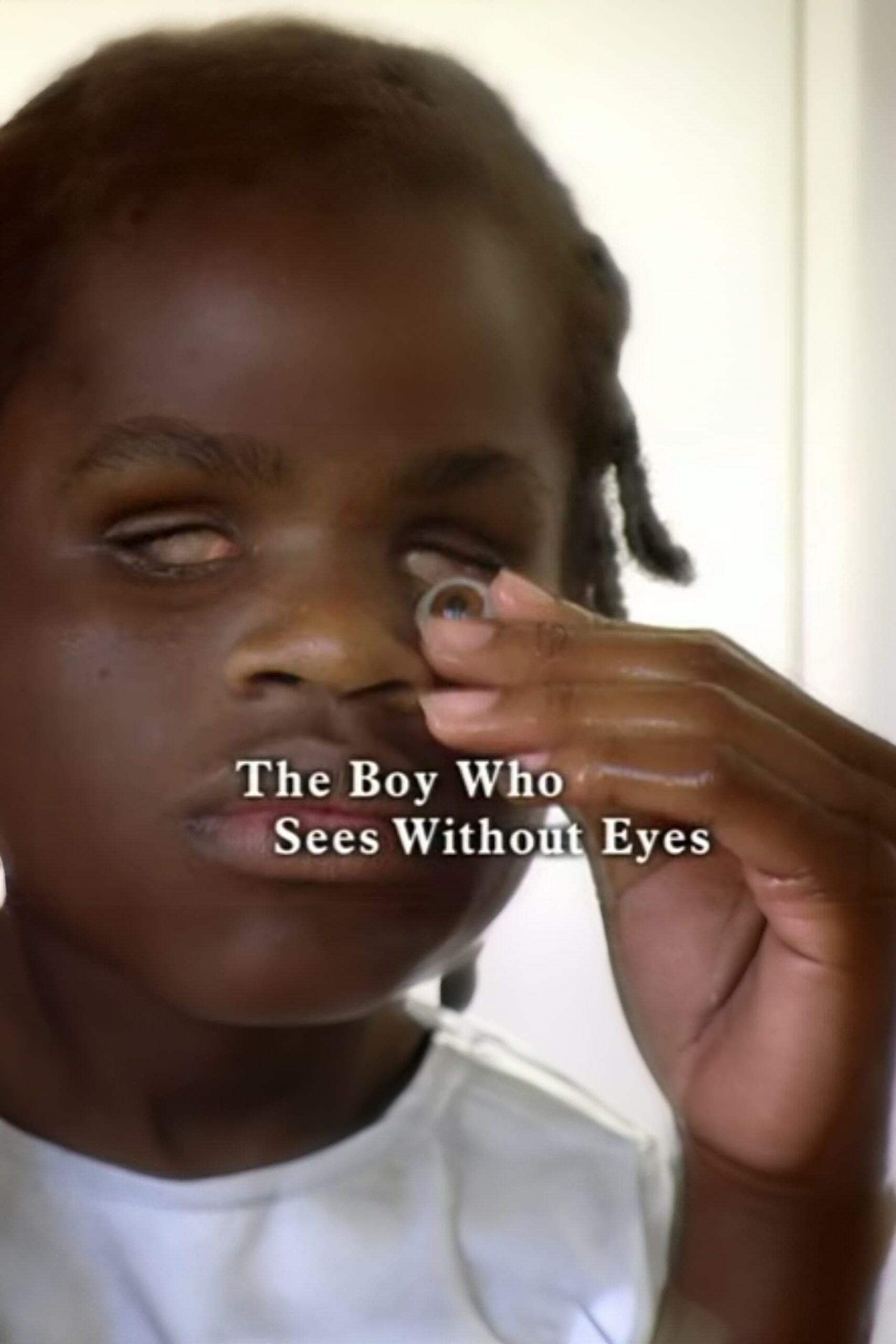 The Boy Who Sees Without Eyes Danish Movie Streaming Online Watch