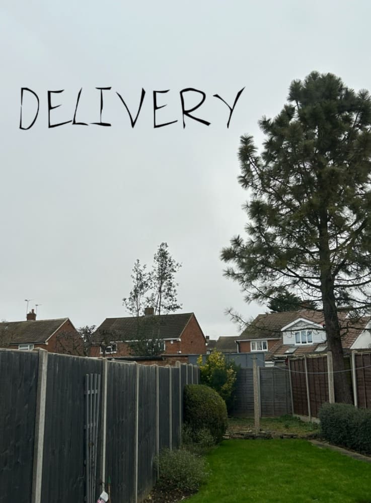 Delivery Movie Streaming Online Watch