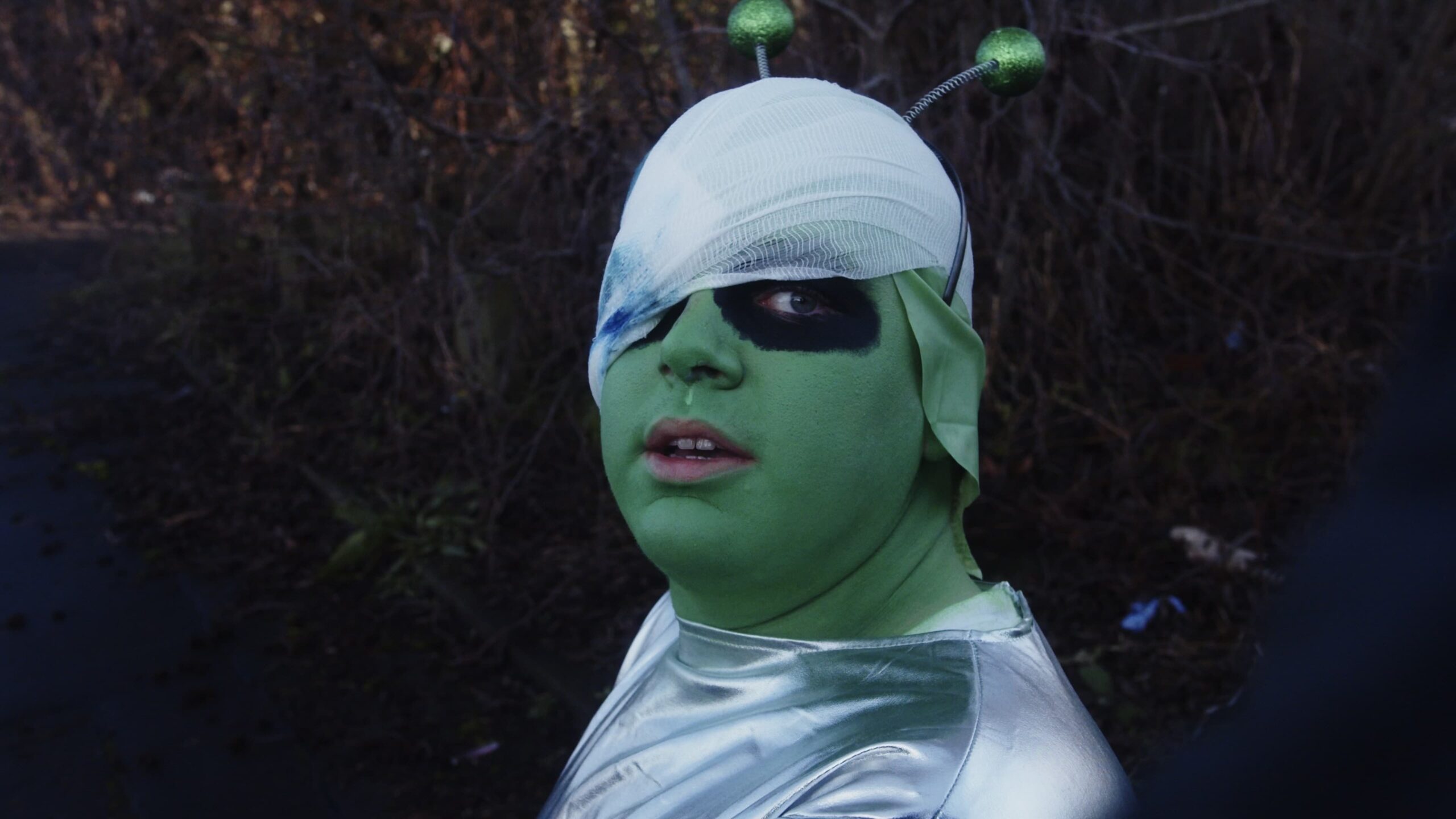 The Return Of Zappy Movie Streaming Online Watch