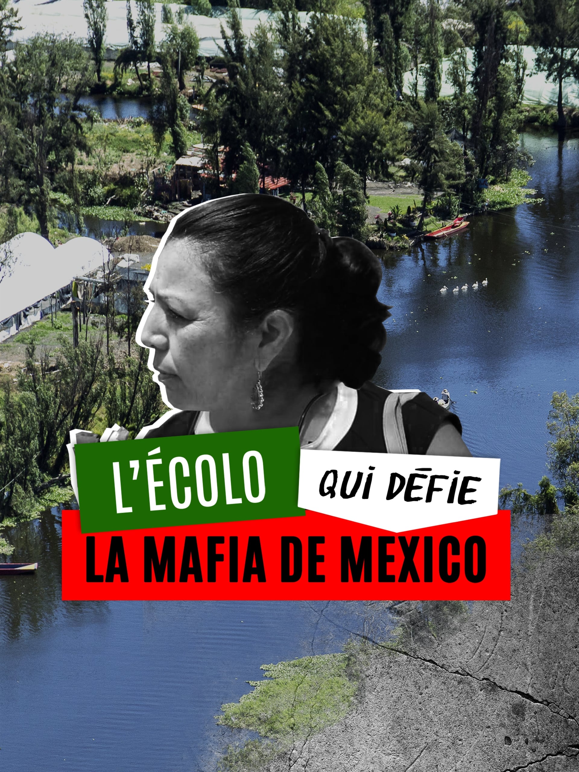 L'écolo qui défie la mafia de Mexico French, Spanish Movie Streaming ...