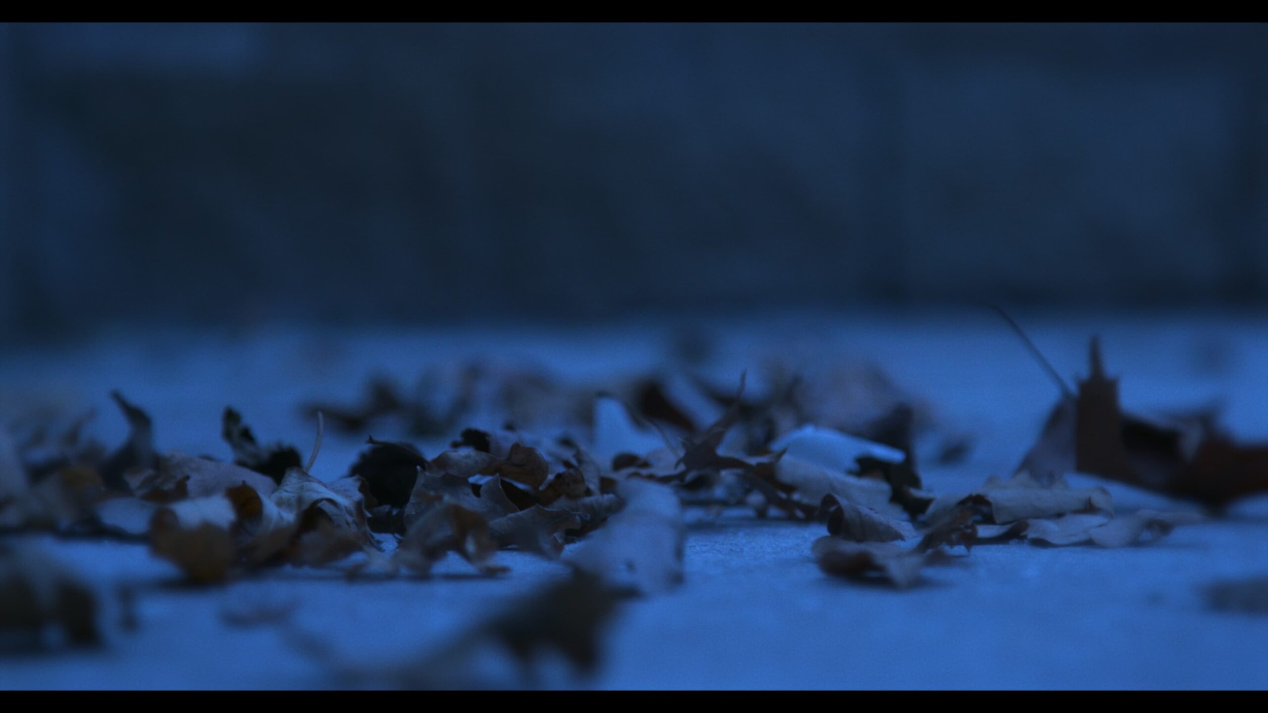 Blood Is Thicker Than Water Movie Streaming Online Watch