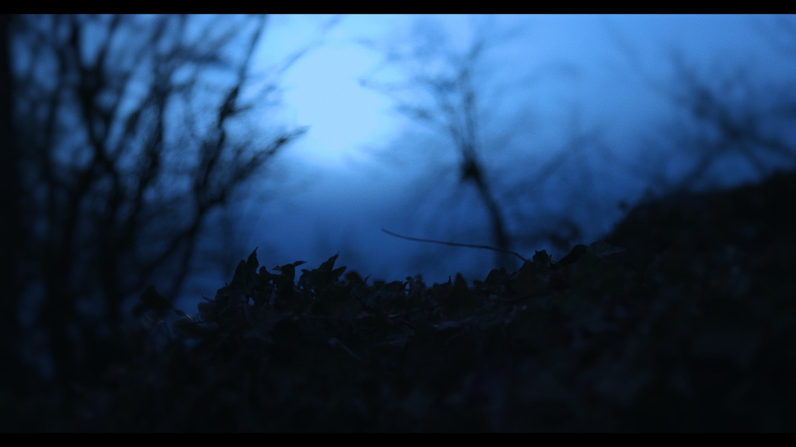 Blood Is Thicker Than Water Movie Streaming Online Watch