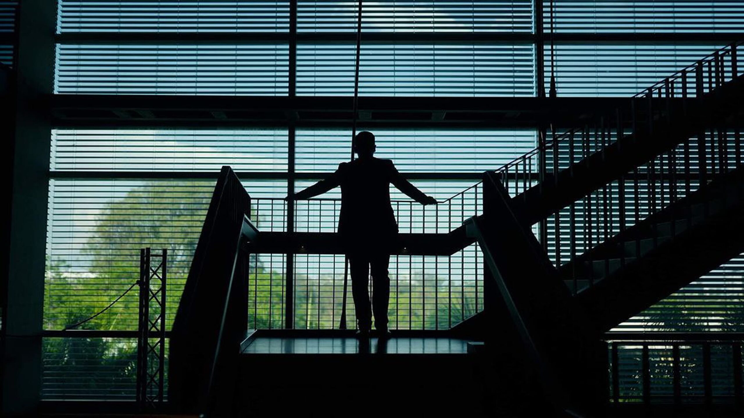 The Wing Girl Movie Streaming Online Watch