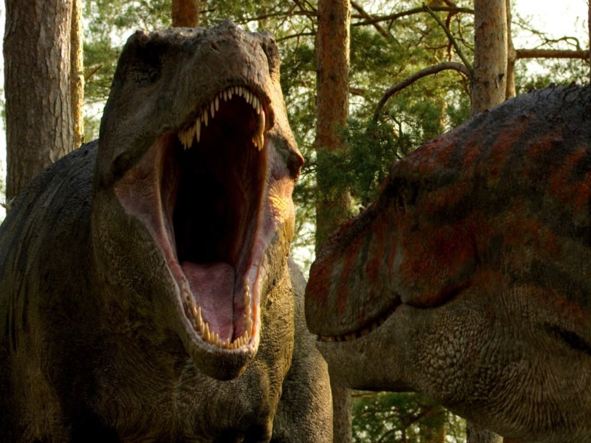 'Our Living World' Gets A Premiere Date On Netflix