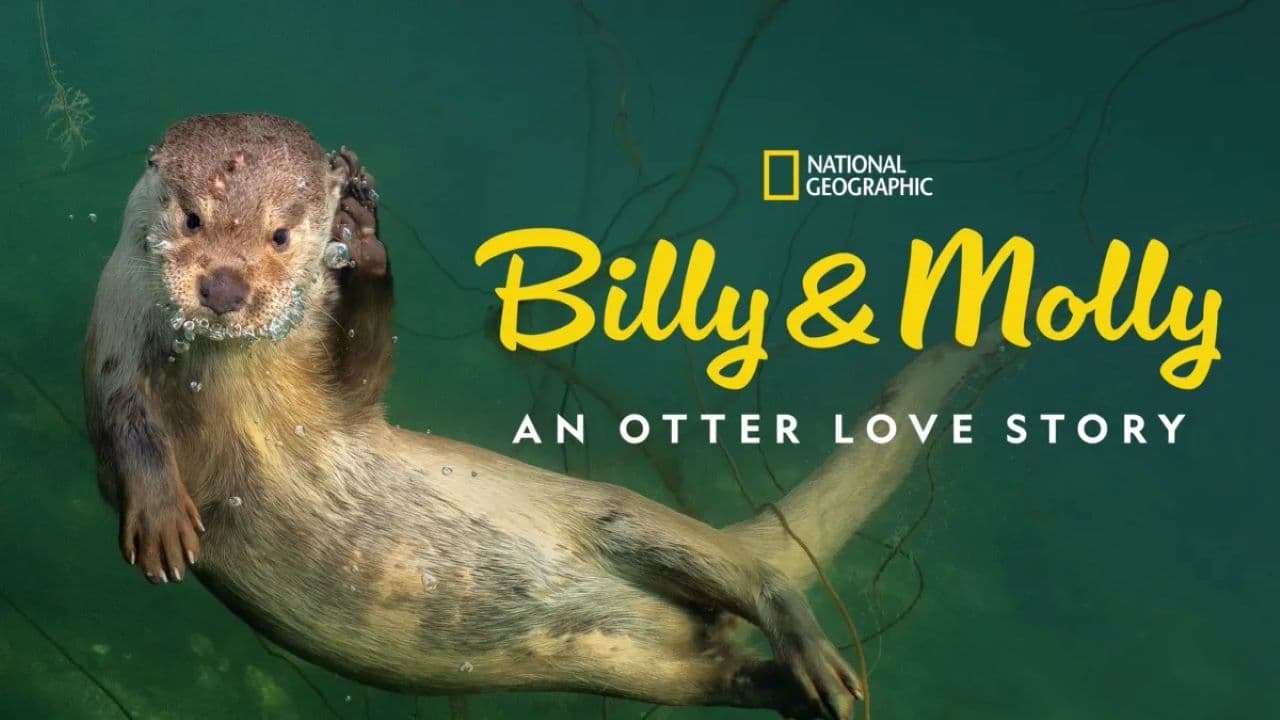 Billy & Molly: An Otter Love Story Hindi, Tamil, Telugu Movie Streaming Online Watch on Disney ...