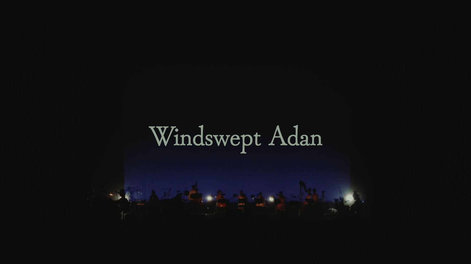 Windswept Adan - Live at Orchard Hall Japanese Movie Streaming Online Watch