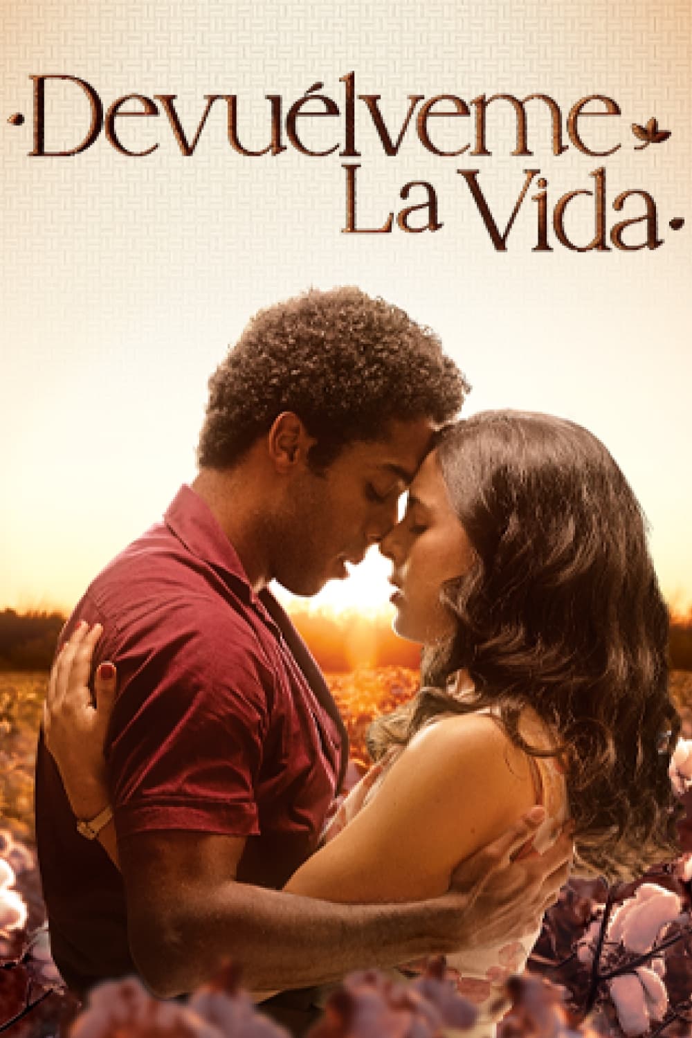 Love of My Life Spanish Web Series Streaming Online Watch on Netflix