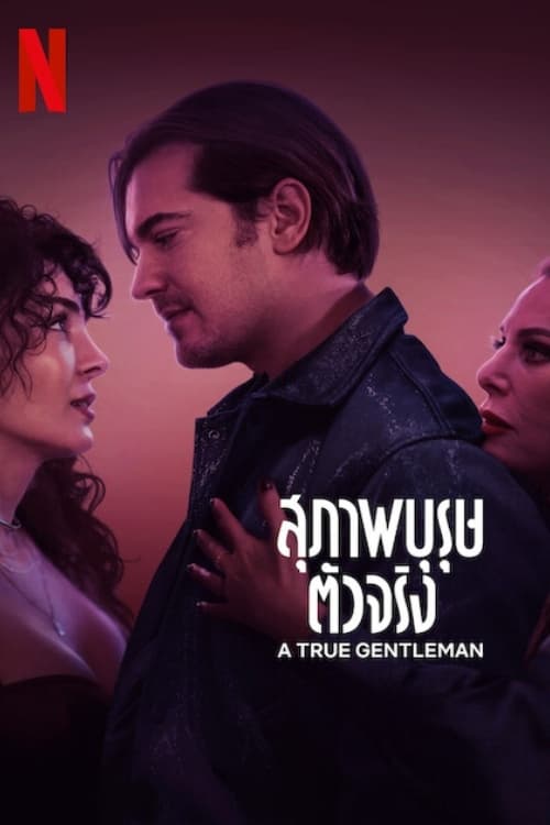 A True Gentleman Turkish Movie Streaming Online Watch on Netflix