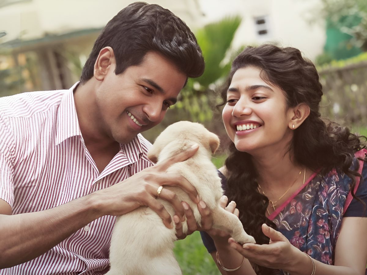 Sivakarthikeyan's Amaran Flies With BB3 and Singham Again At Worldwide ...