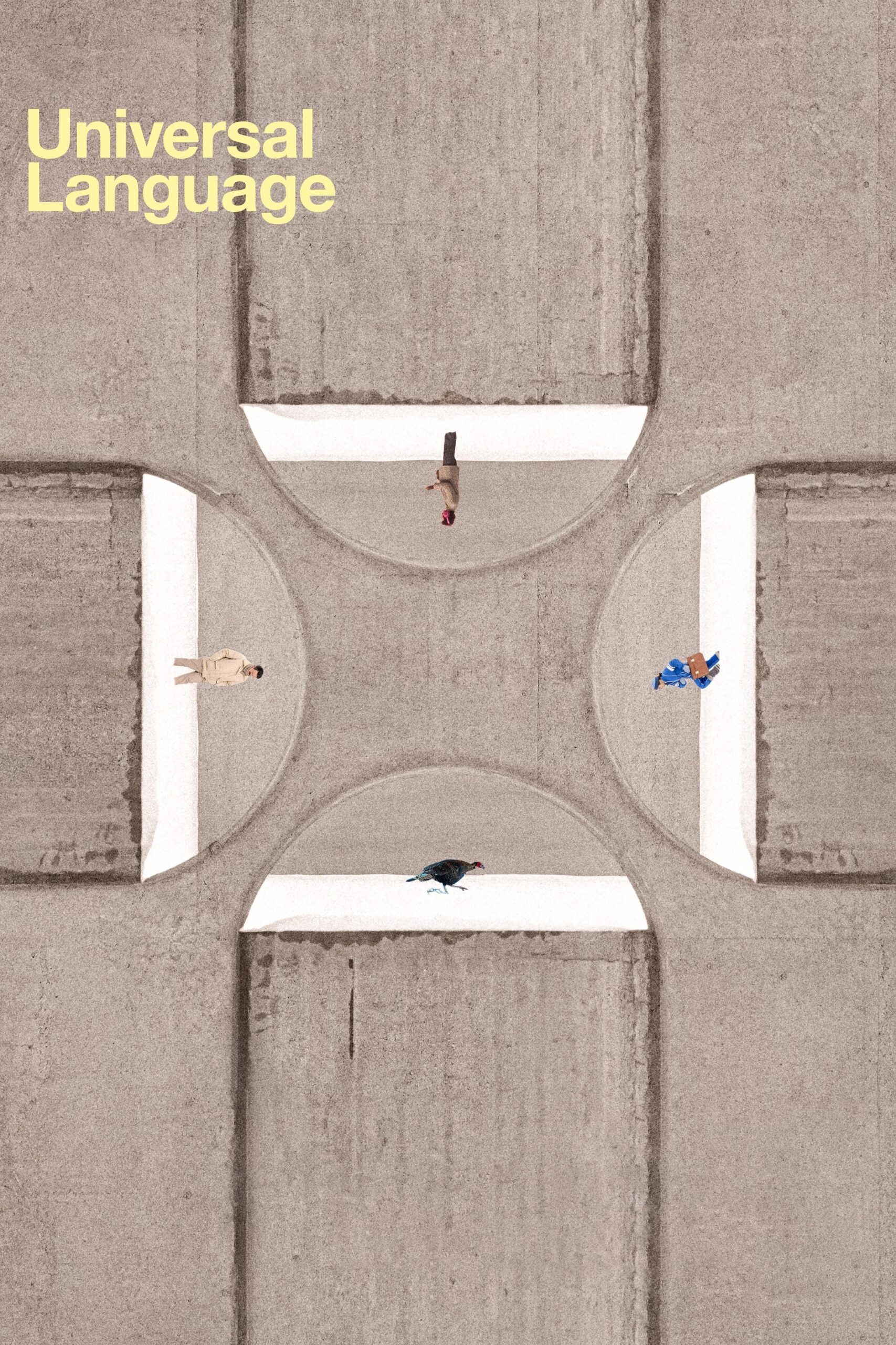 Universal Language French Movie Streaming Online Watch on Amazon, Book ...